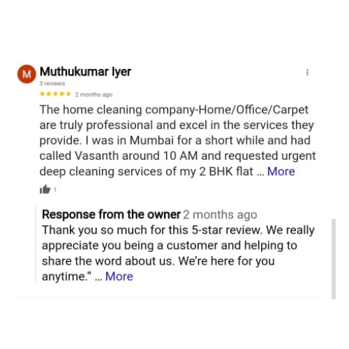 thehomecleaningcompany – home cleaning company